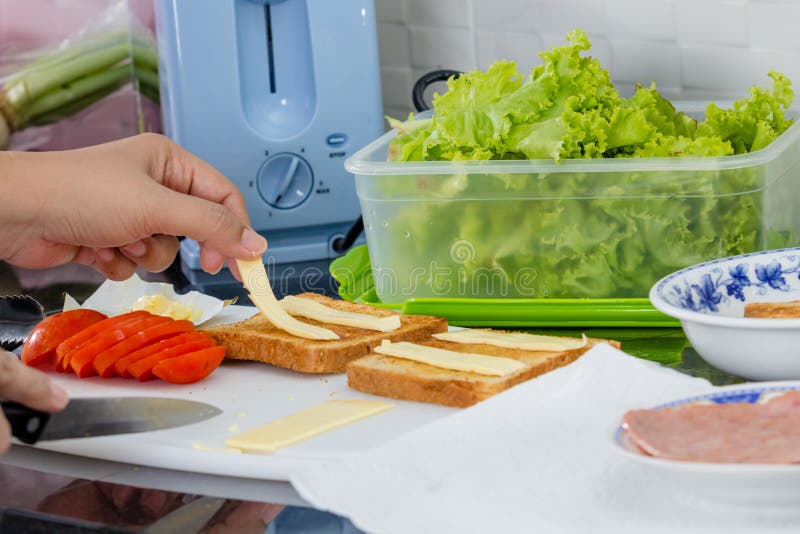Making a sandwich stock image. Image of nutritious, lunch - 60620199
