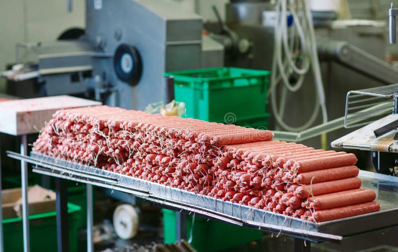 Making Sausages, Food Production in the Factory. Stock Photo - Image of ...