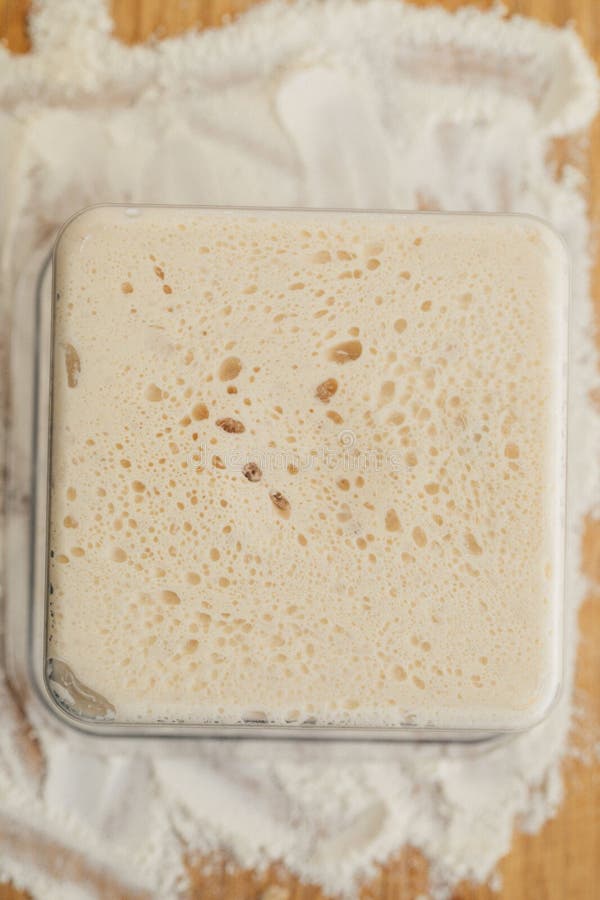 Making Sourdough Bread. Bulk Fermentation. Stock Photo - Image of ... Making Sourdough Bread. Bulk Fermentation. Stock Photo - Image of ...