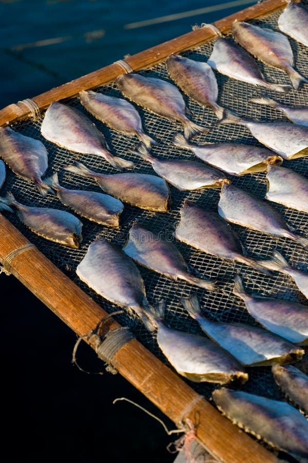 Making Sun-dried Fish in Tapmun, Hong Kong Stock Photo - Image of ...