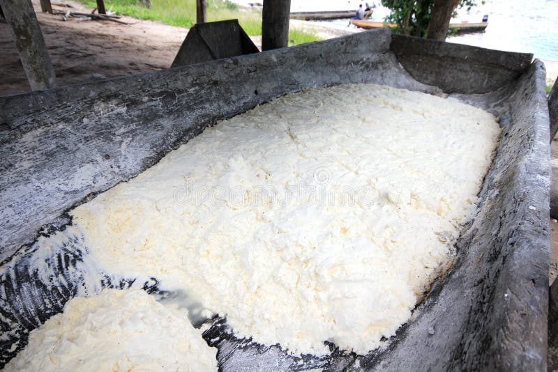 Making tapioca, Venezuela stock photo. Image of canainma - 22733012