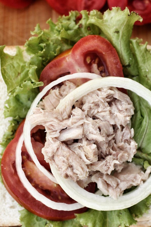 Making tuna sandwich stock photo. Image of sandwich, bread - 35355496