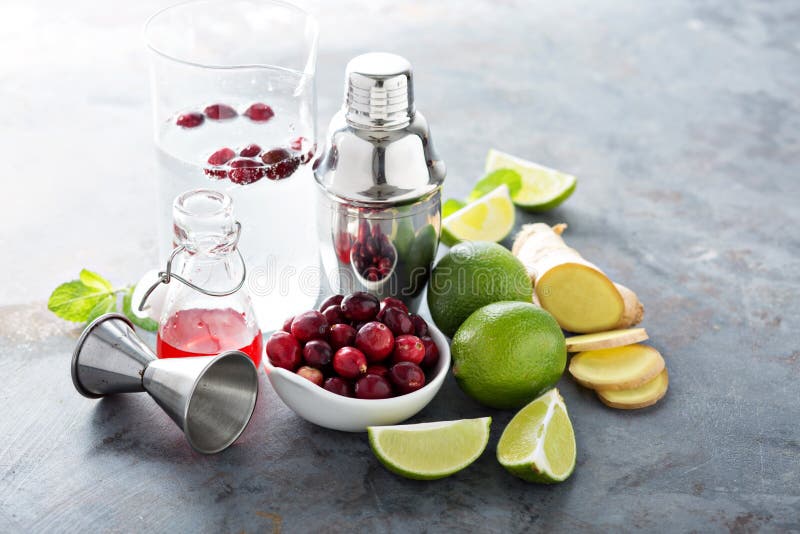 Making a winter cocktail stock image. Image of homemade - 80779671