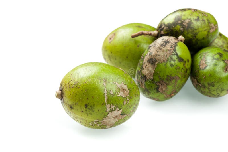 Makok hog plums stock image. Image of ingredient, food - 160942349