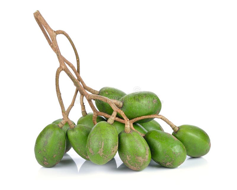 Makok or Olive Fruit in Thailand Stock Photo - Image of green, golden ...