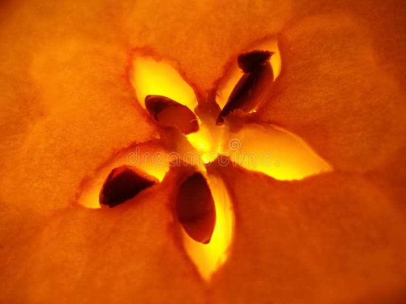 Roter Apfelkern, Der in Einer Hand Gehalten Wird Stockfoto - Bild von ...