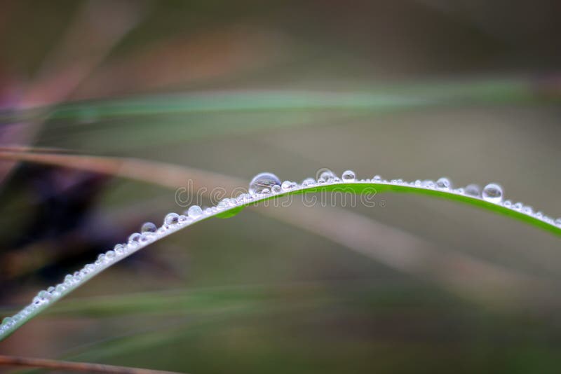 Makro-waterdrop stockfoto. Bild von haus, süd, steigung - 63514028