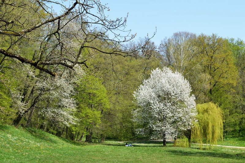 Maksimir Park, Zagreb, Croatia Stock Photo - Image of maksimir, blossom ...