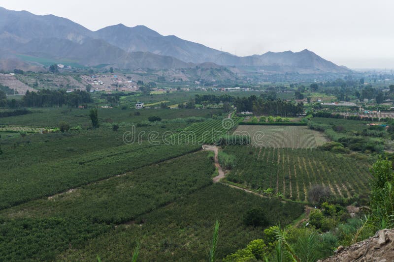 Mala River Valley in Lima Peru Stock Image - Image of peru, travel ...