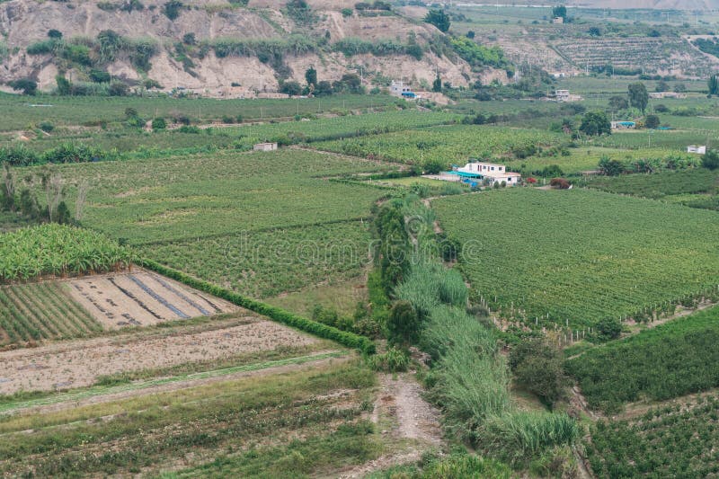 Mala River Valley in Lima Peru Stock Image - Image of azpitia, lima ...