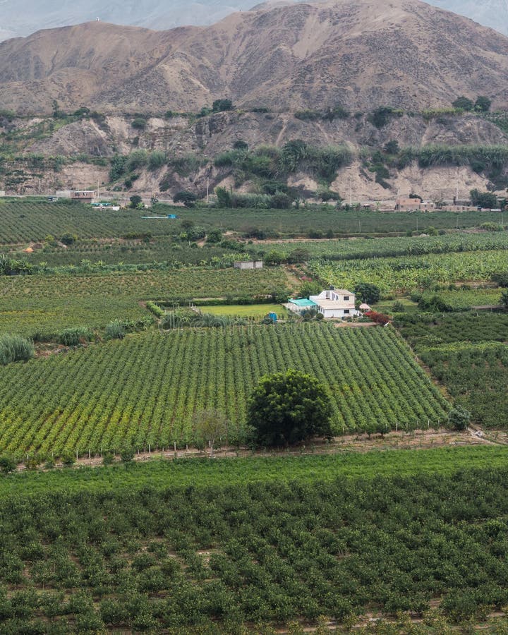 Mala River Valley in Lima Peru Stock Photo - Image of view, azpitia ...
