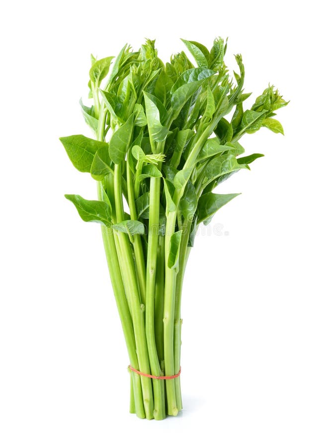 Malabar Spinach or Ceylon Spinach Stock Photo - Image of nutrition ...