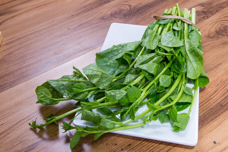 Malabar spinach stock photo. Image of food, wood, fruit - 61601594