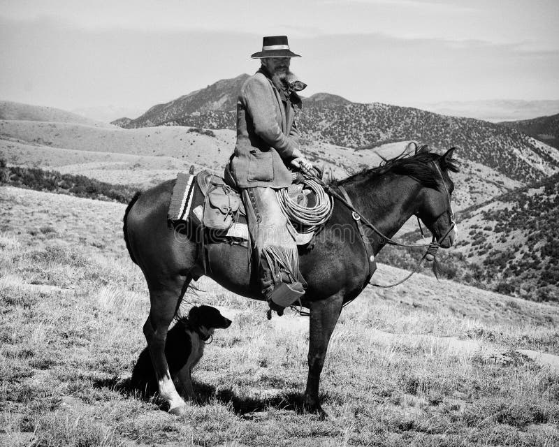 Dog Malachi Stock Photos - Free & Royalty-Free Stock Photos from Dreamstime