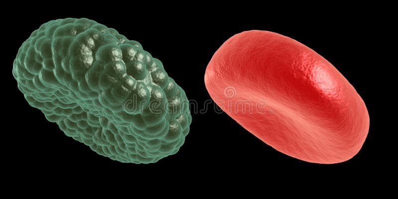 Maladie Verte Et Globule Rouge Illustration Stock - Illustration du ...