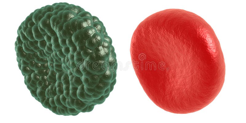 Maladie Verte Et Globule Rouge Illustration Stock - Illustration du ...