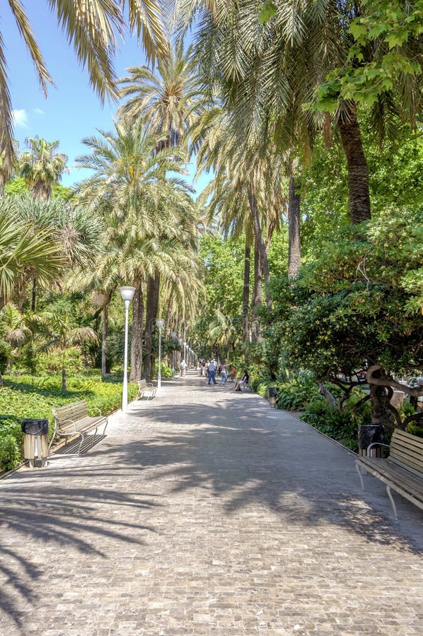 MALAGA, SPAIN - JUNE, 14: Park of Malaga View in a Sunny Day on ...