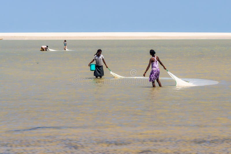 Sharing Fish after a Communal Fishing in Africa Editorial Photo - Image ...