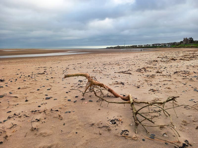 The Malahide Beach in the Autumn Stock Image - Image of view, scenery ...