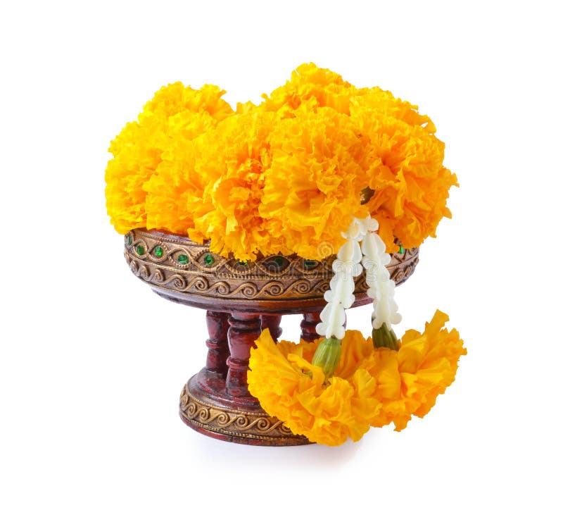 Malai The flower stock image. Image of single, decoration - 27922641