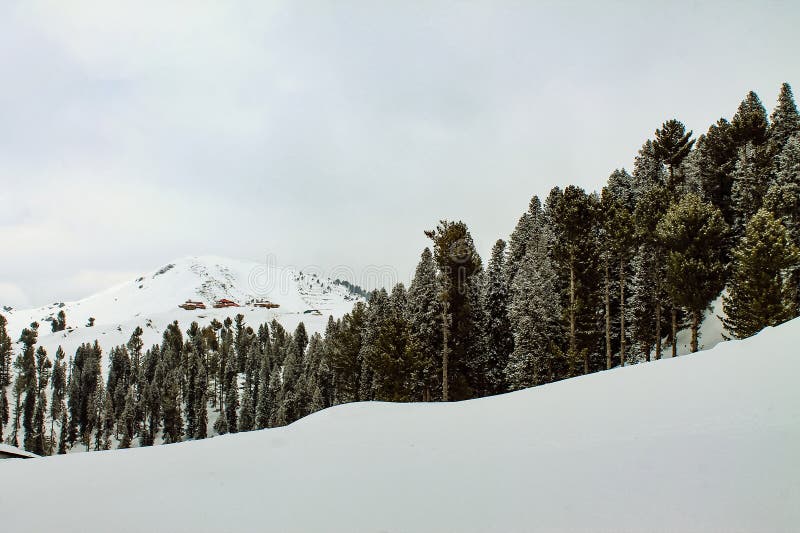 Malam Jabba and Kalam Swat Scenery Landscape Stock Photo - Image of ...