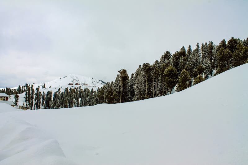 Malam Jabba and Kalam Swat Scenery Landscape Stock Image - Image of ...