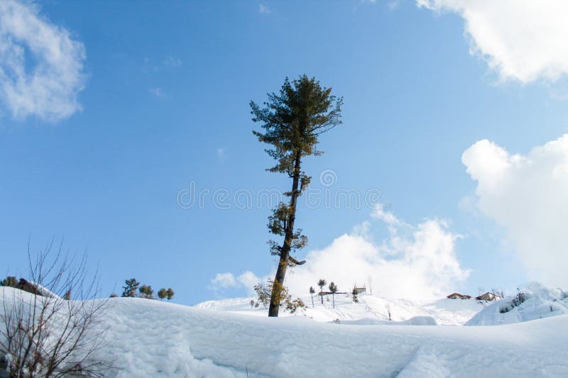 Malam Jabba and Kalam Swat Scenery Landscape Stock Photo - Image of ...