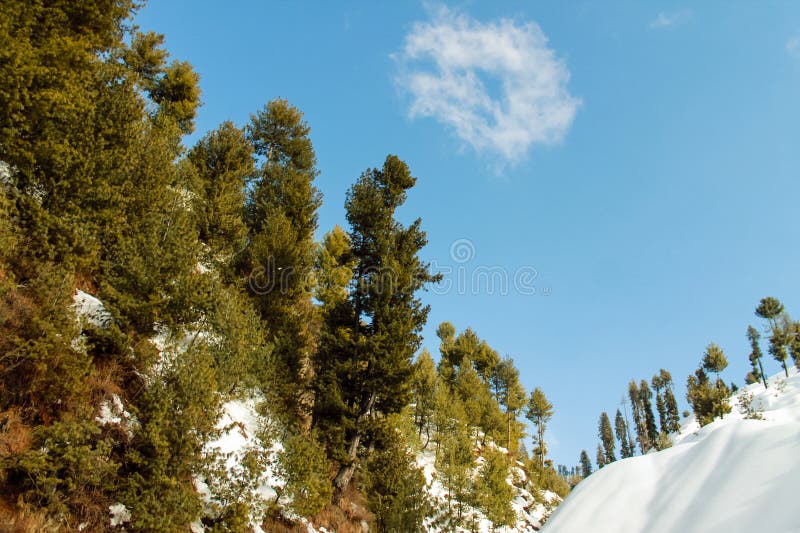 Malam Jabba and Kalam Swat Scenery Landscape Stock Photo - Image of ...