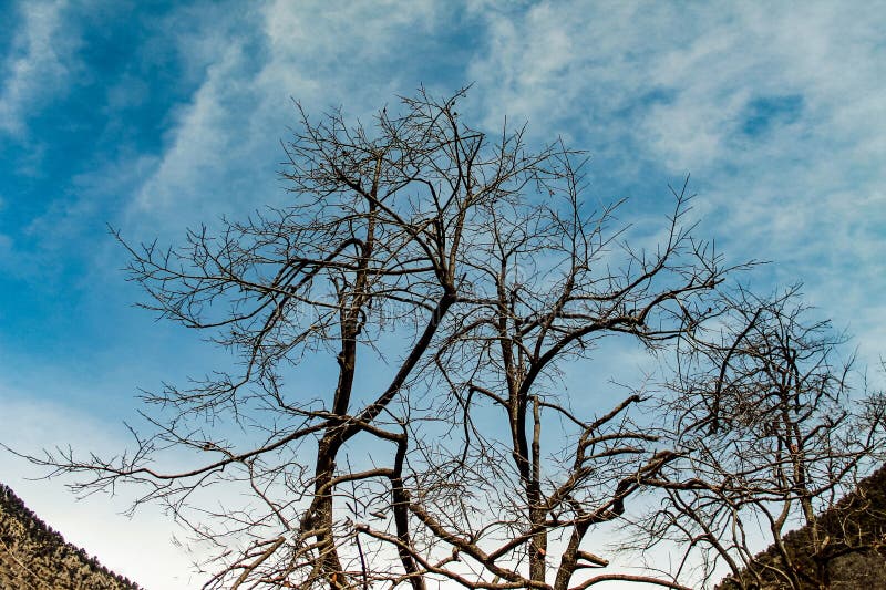 Malam Jabba and Kalam Swat Scenery Landscape Stock Photo - Image of ...