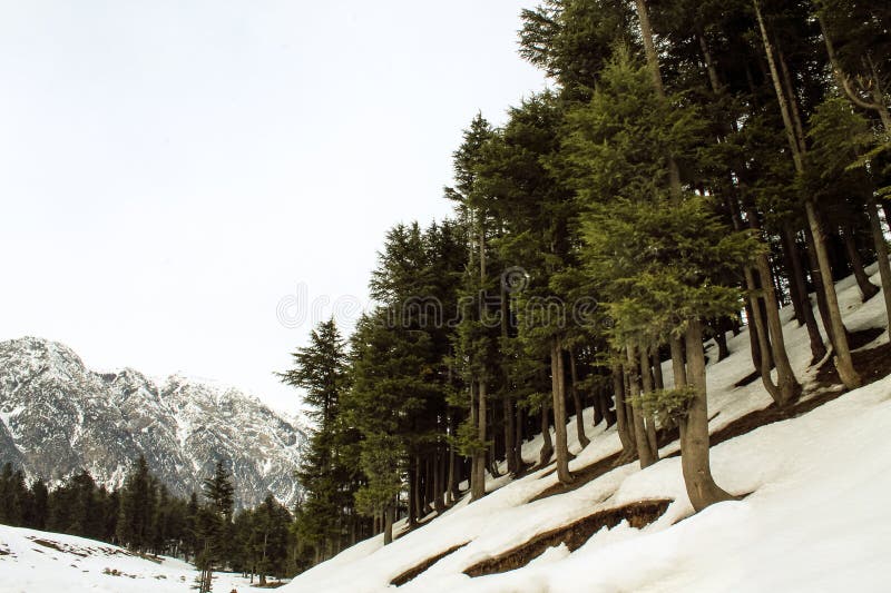 Snow Mountains Malam Jabba and Kalam Swat Scenery Landscape Stock Image ...