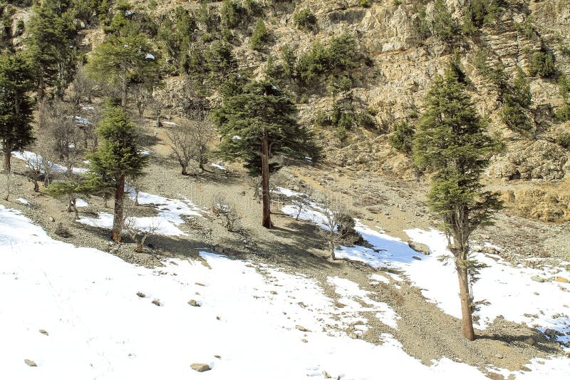 Malam Jabba and Kalam Swat Scenery Landscape Stock Photo - Image of ...