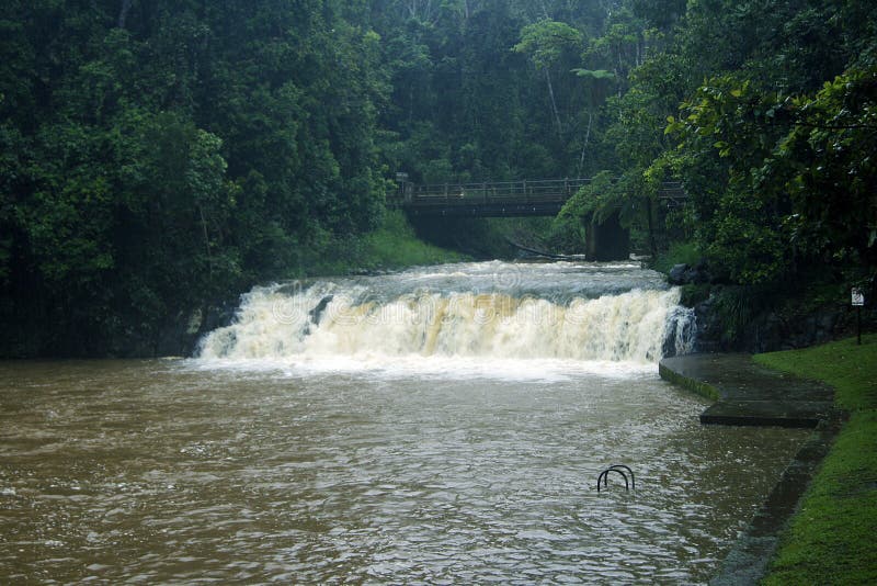 Malanda Waterfall in Atherton, Australia Stock Image - Image of splash ...