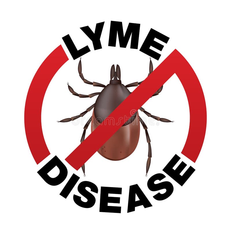Icona Di Puntura Di Zecca Per La Malattia Di Lyme Illustrazione ...