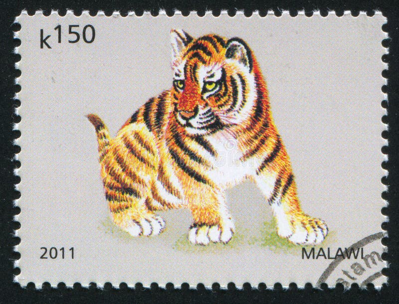 Tiger editorial stock photo. Image of skin, nail, mammal - 314444913