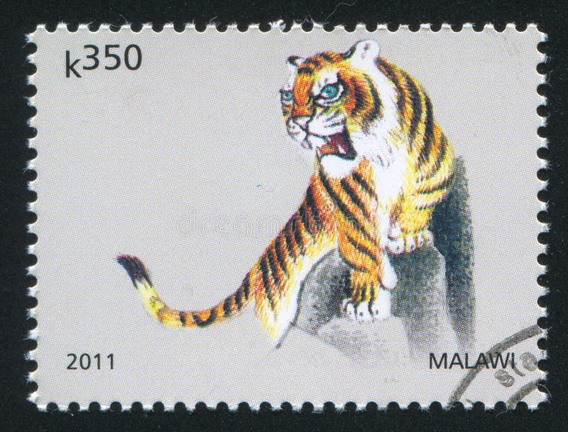 Tiger editorial photography. Image of postmark, message - 314445217