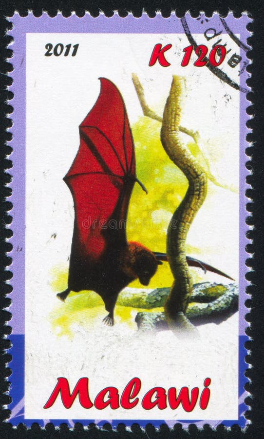 Bat Stamp Printed by Malawi Editorial Image - Image of habitat, aged ...