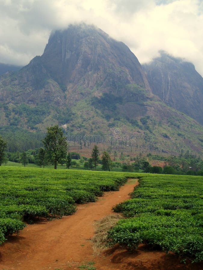 Malawi Landscape stock image. Image of harvest, hills - 3861923