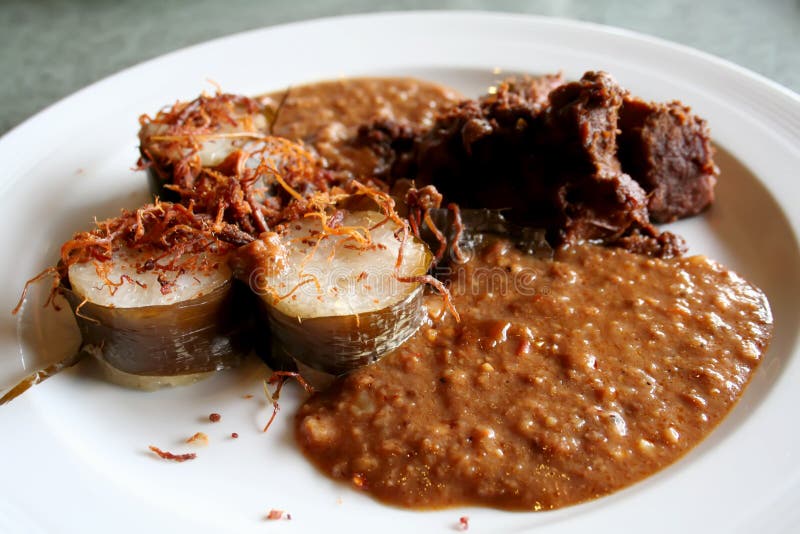 Malay Beef Rendang Dish VI stock image. Image of meal - 44043327