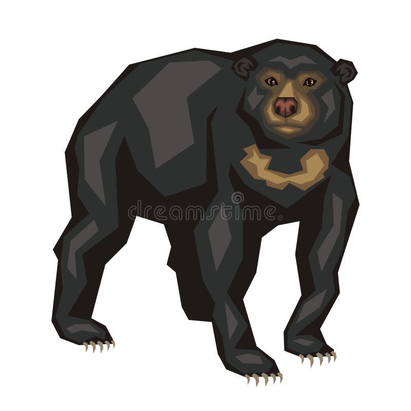 Sun Bear Black White Stock Illustrations – 622 Sun Bear Black White ...