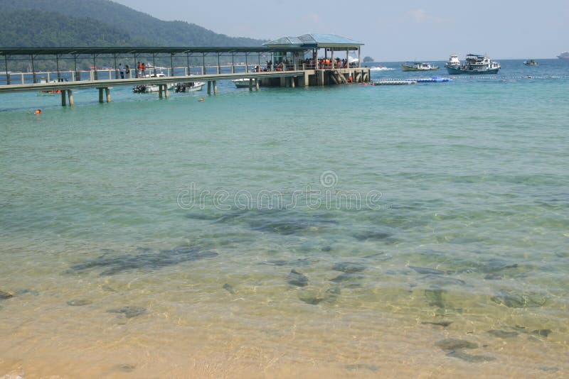 Sannyasa Sadhu Washing on the Ganges Editorial Image - Image of clean ...