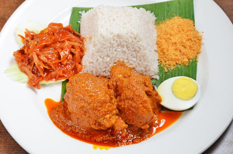 Malaysian rice dish stock image. Image of chicken, tasty - 58375327
