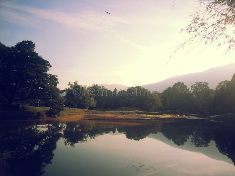 Malaysian Summer Park View. Stock Image - Image of summer, park: 155923121