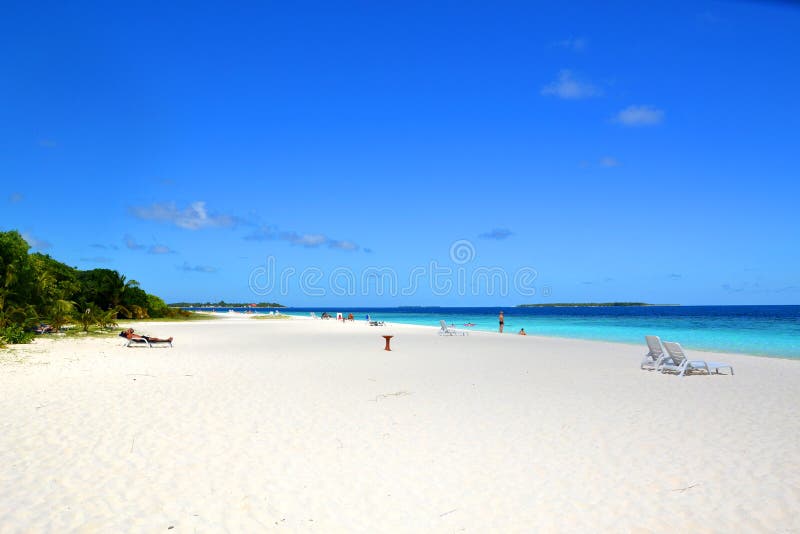 Maldives island stock photo. Image of green, coco, house - 19419532