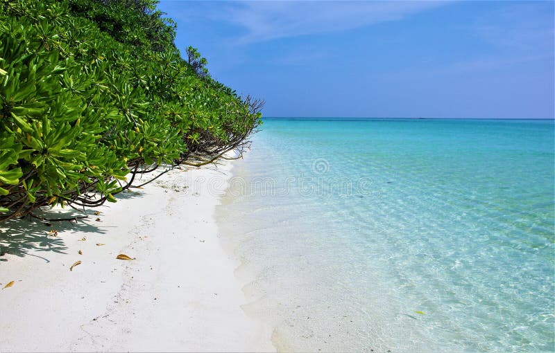 Maldives Beach Thoddoo Island Stock Photo - Image of tropical, ocean ...