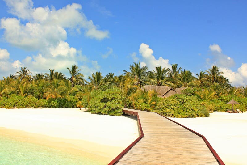 Maldives Beach view stock photo. Image of natural, seascape - 43068856