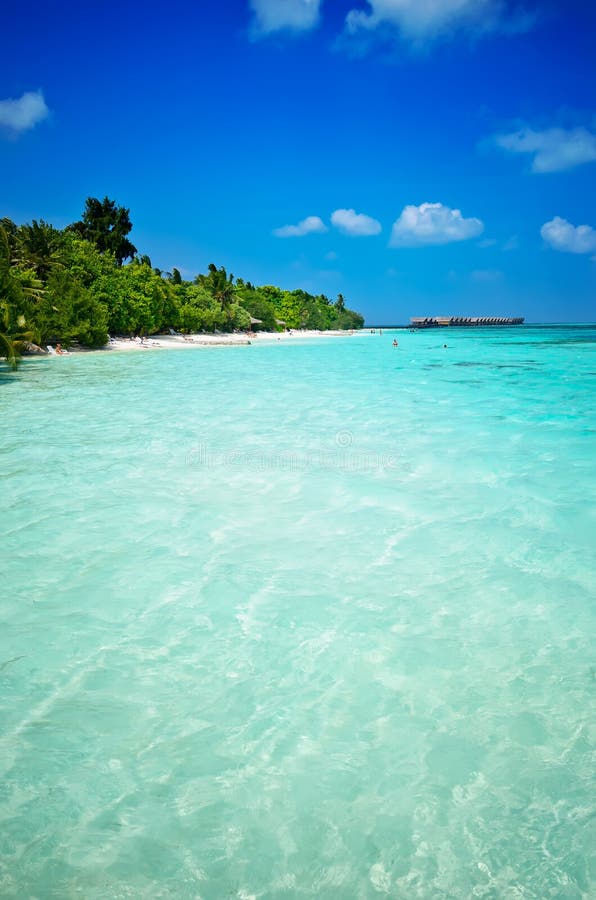 Maldives View from the Beach. Stock Photo - Image of tropical, tropics ...