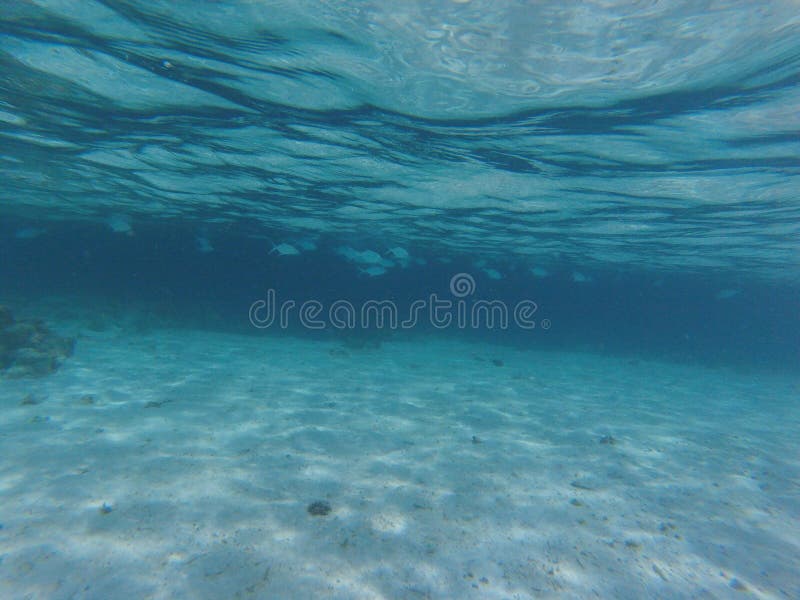 Maldives stock photo. Image of reef, wave, turquoise - 77237124