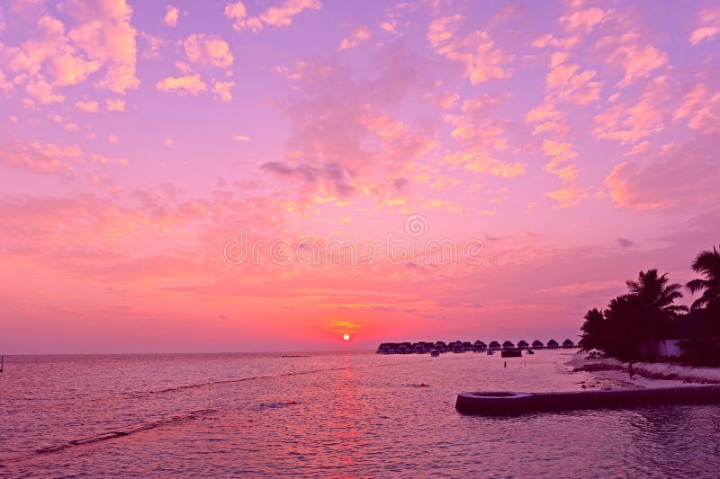 Maldives island stock photo. Image of green, coco, house - 19419532