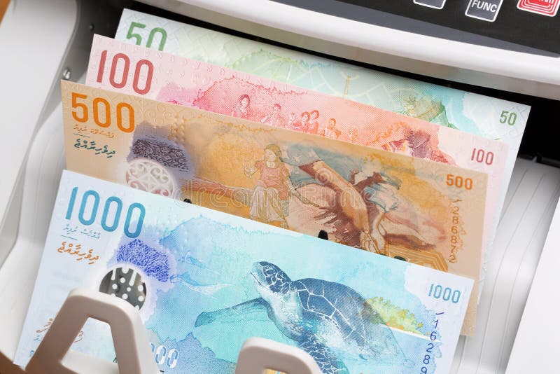 Maldivian Rufiyaa in the Counting Machine Stock Image - Image of ...