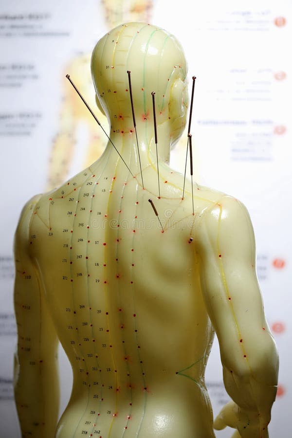 Male acupuncture model stock image. Image of learning - 204655367
